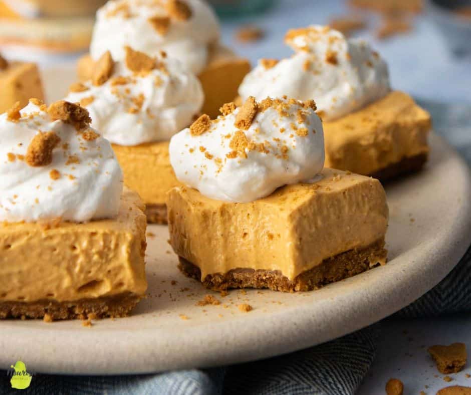 Easy No Bake Pumpkin Cheesecake Bars - Nourish Nutrition Blog -small batch